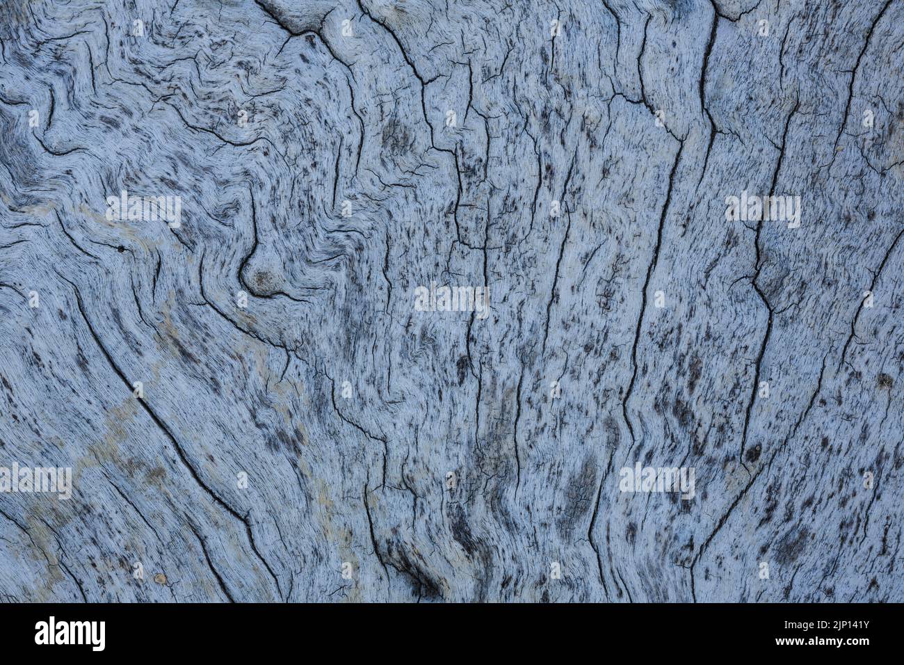 Closeup of background structure of a weathered wooden surface dried ...