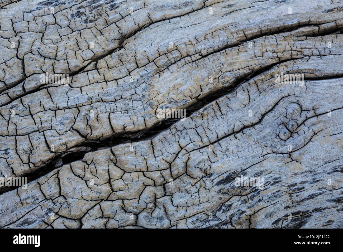Closeup of background structure of a weathered wooden surface dried ...