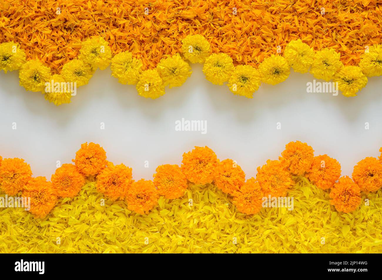 Decorative yellow and orange color marigold flowers and petals rangoli ...