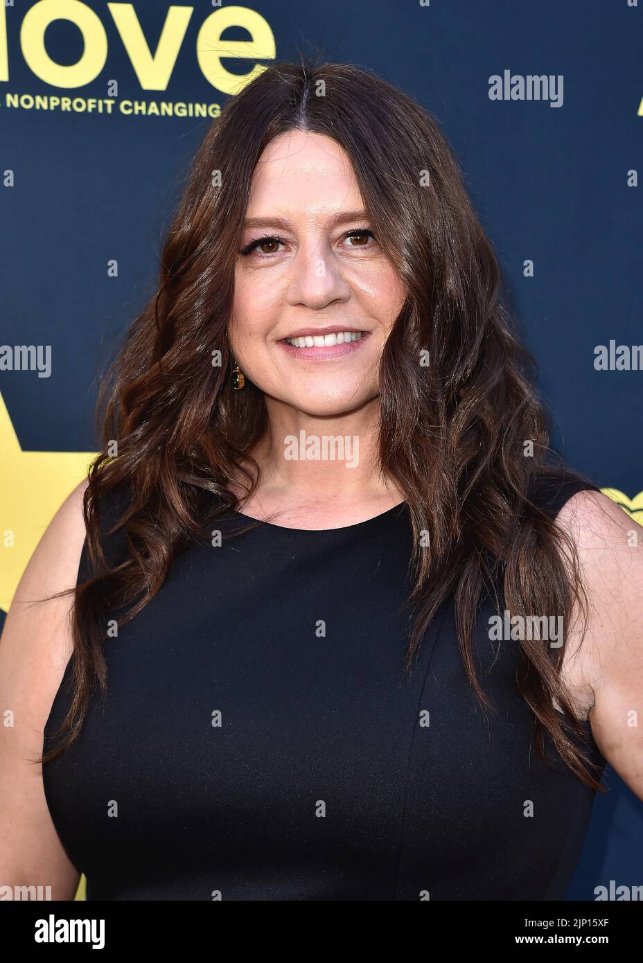 Cori Shepherd Stern walking on the red carpet at the The 2nd Annual HCA ...