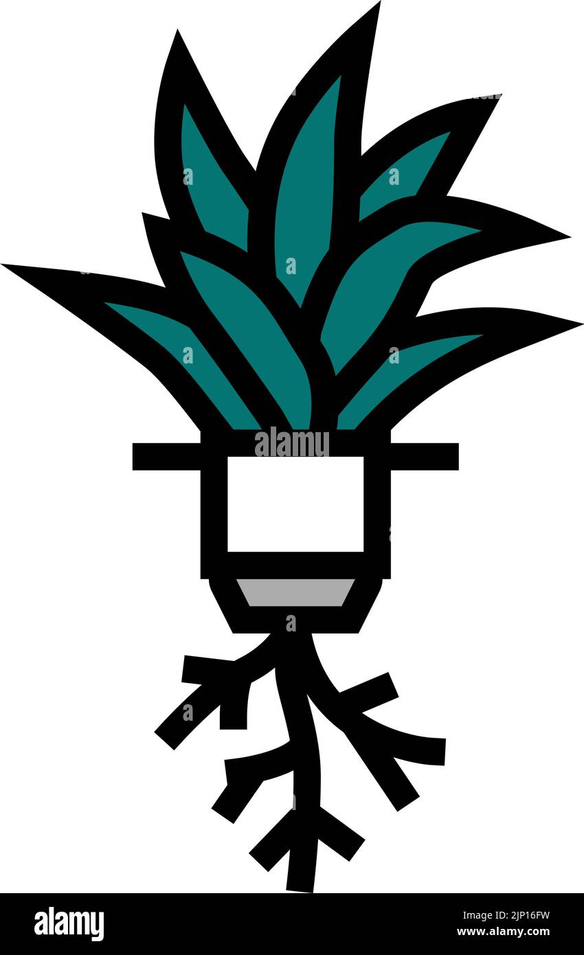 plant hydroponics water irrigation color icon vector illustration Stock ...