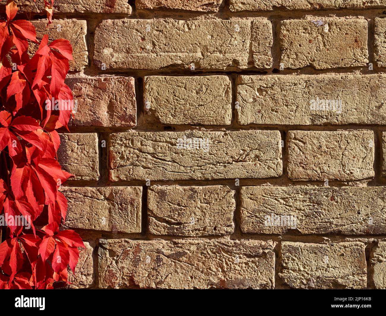 Autumn leaves background with brick pattern Stock Photo - Alamy