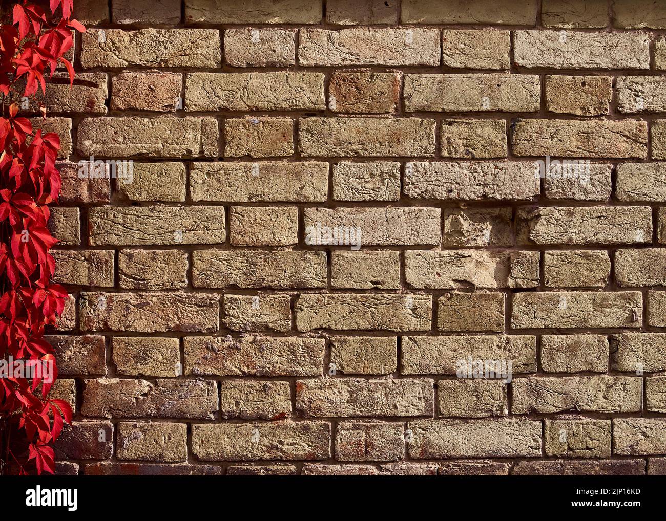 Autumn leaves background with brick pattern Stock Photo - Alamy