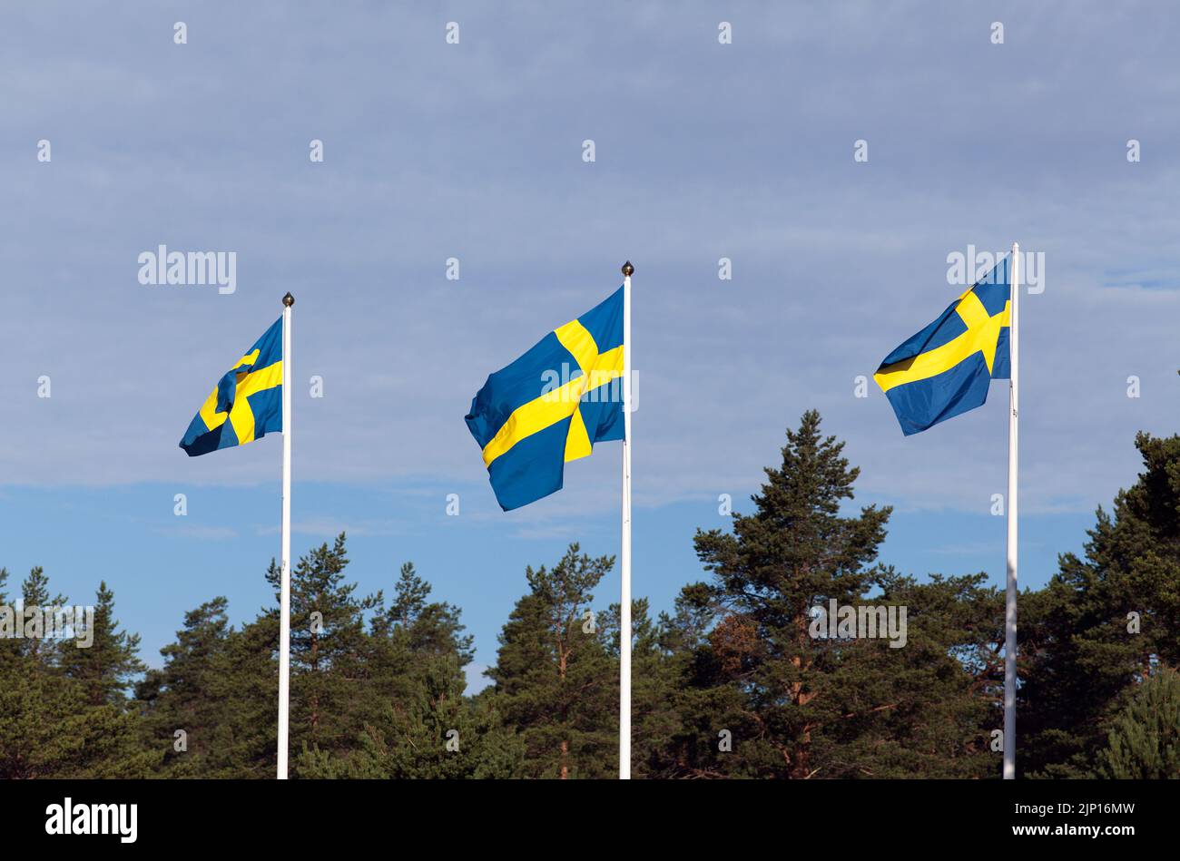 Swedish standards and trees in wind and sunshine. Summer and bright ...