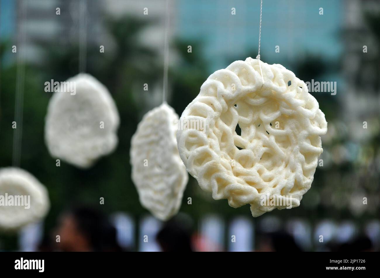 Cracker eating competition at the celebration of the independence day ...