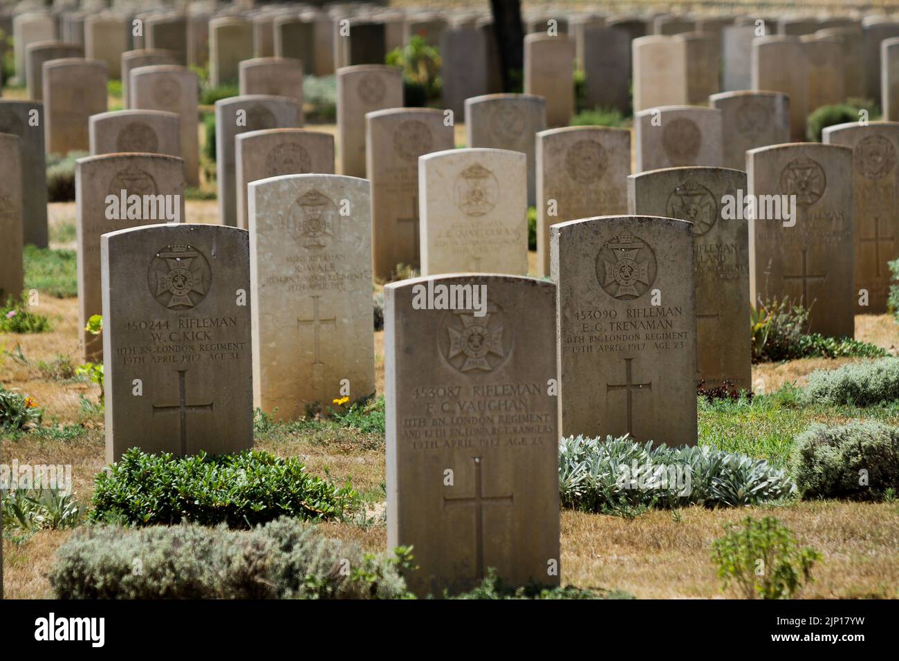 Gaza commonwealth war cemetery hi-res stock photography and images - Alamy