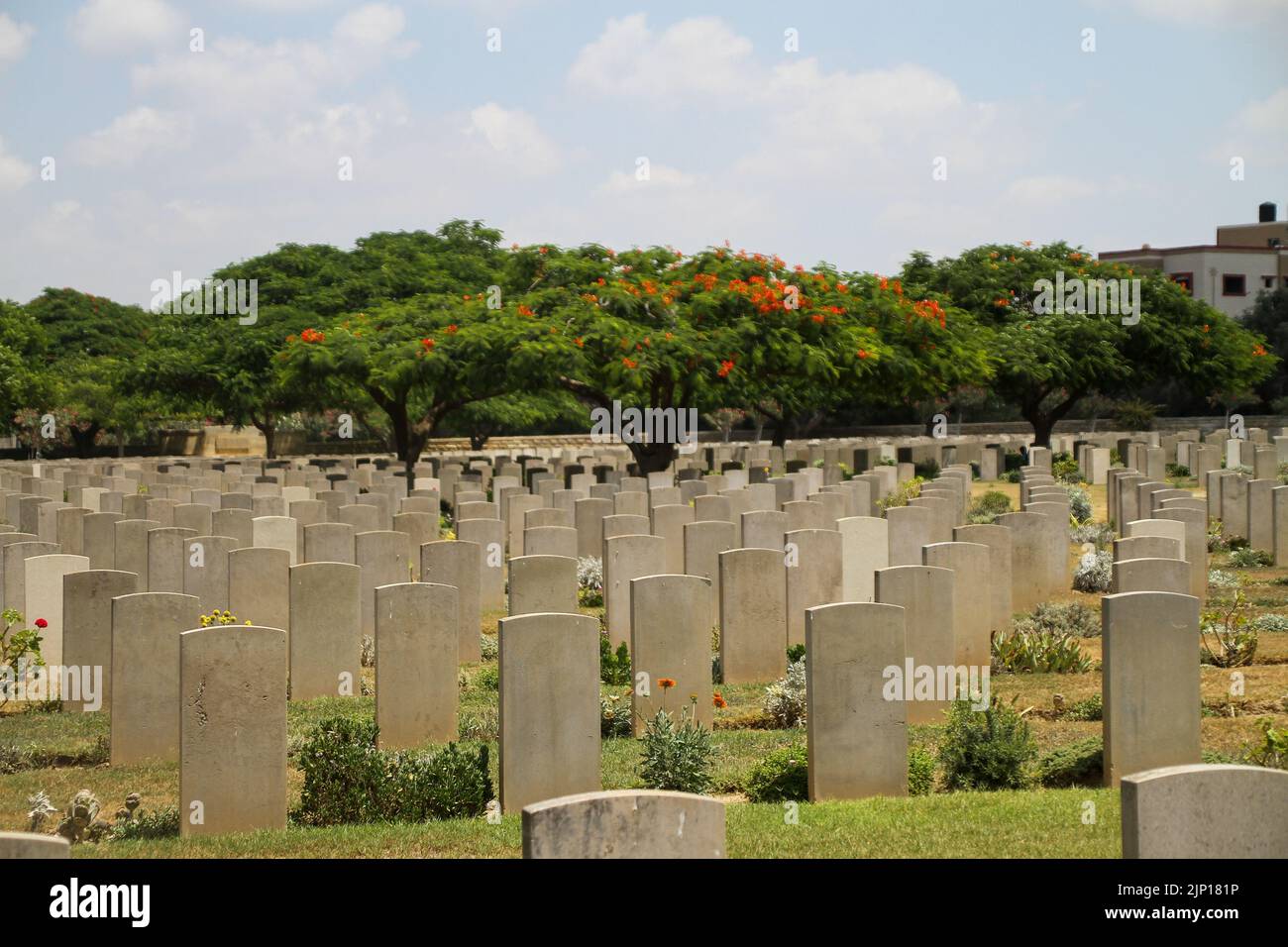 Gaza commonwealth war cemetery hi-res stock photography and images - Alamy
