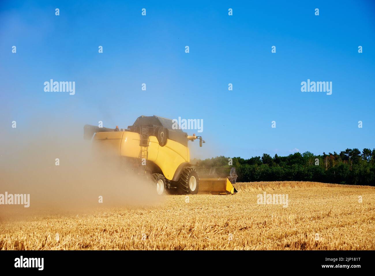 Combine harvester collecting golden wheat field, Harvesting machine ...