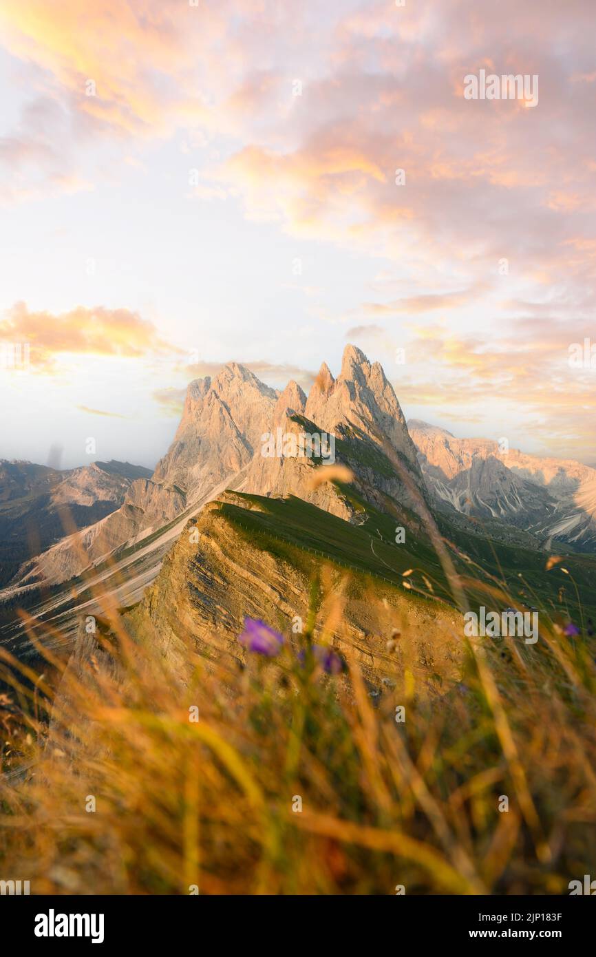 Stunning view of Seceda ridge during a beautiful sunset. The Seceda ...