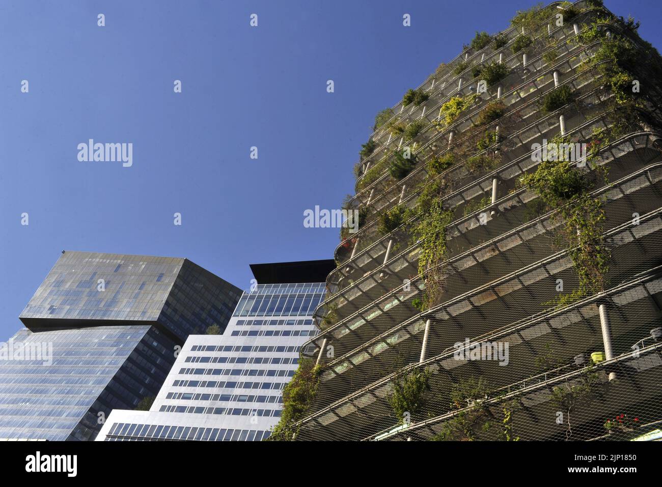FRANCE. PARIS (75) 13TH ARR. LEFT BANK. ZAC MASSENA-BRUNESEAU. PLANT ...