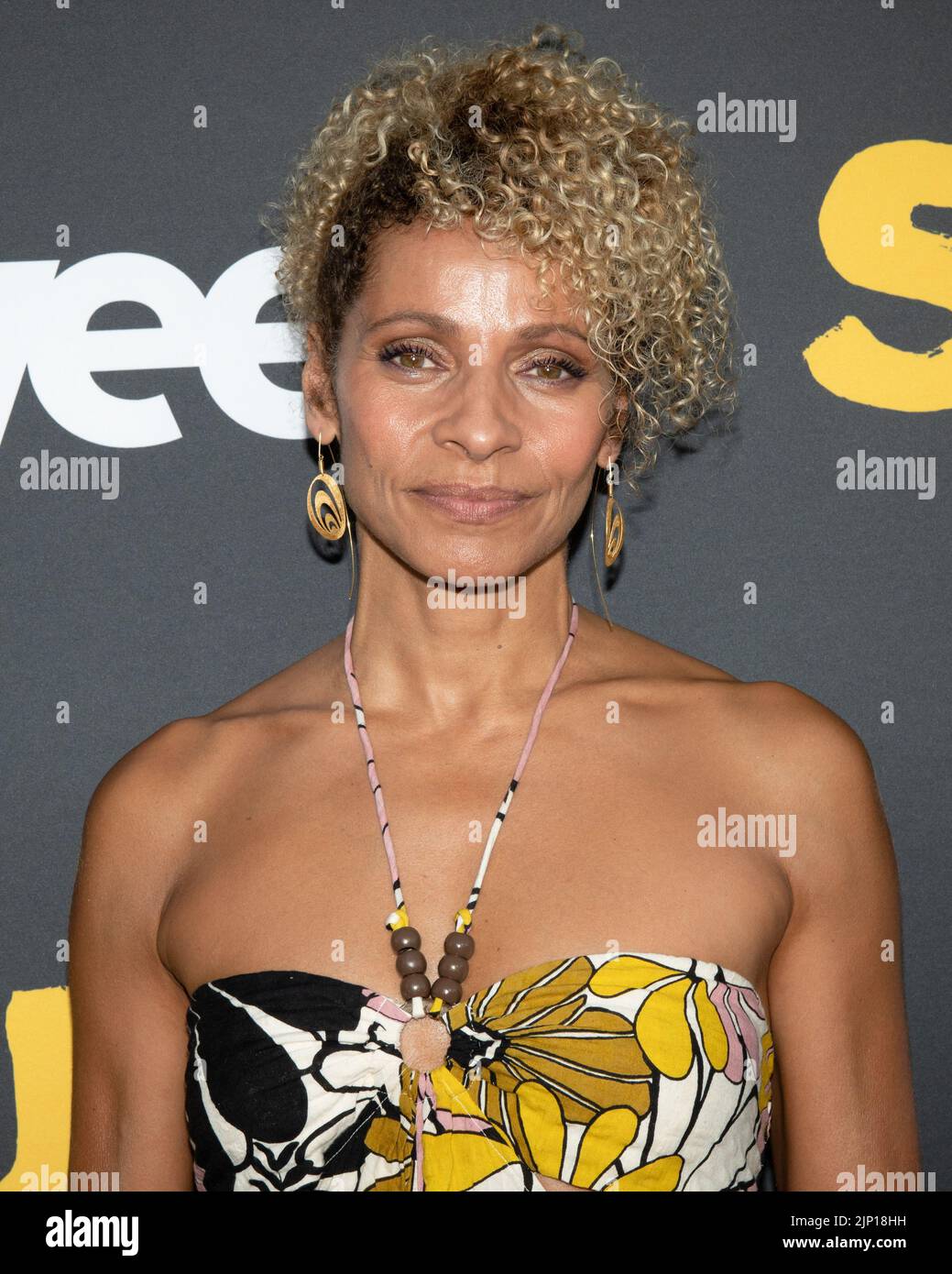 14 August 2022 - Los Angeles, California - Michelle Hurd. Red Carpet ...