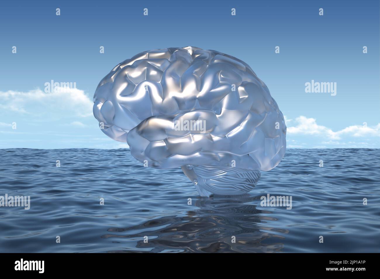 transparent human brain on the sea horizon side view. 3d rendering Stock Photo - Alamy