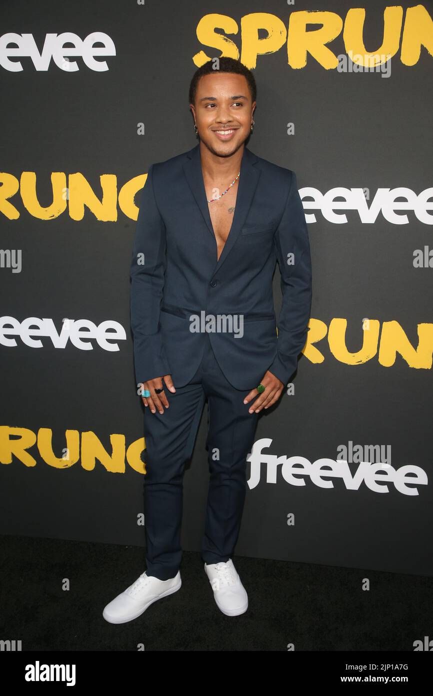 14 August 2022 - Los Angeles, California - Andre Jamal Kinney. Red ...