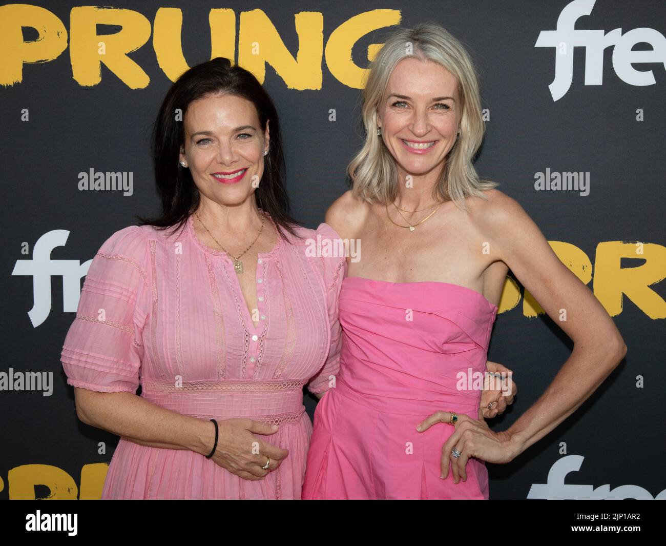 August 14 2022 Hollywood California Usa Meredith Salenger And Ever