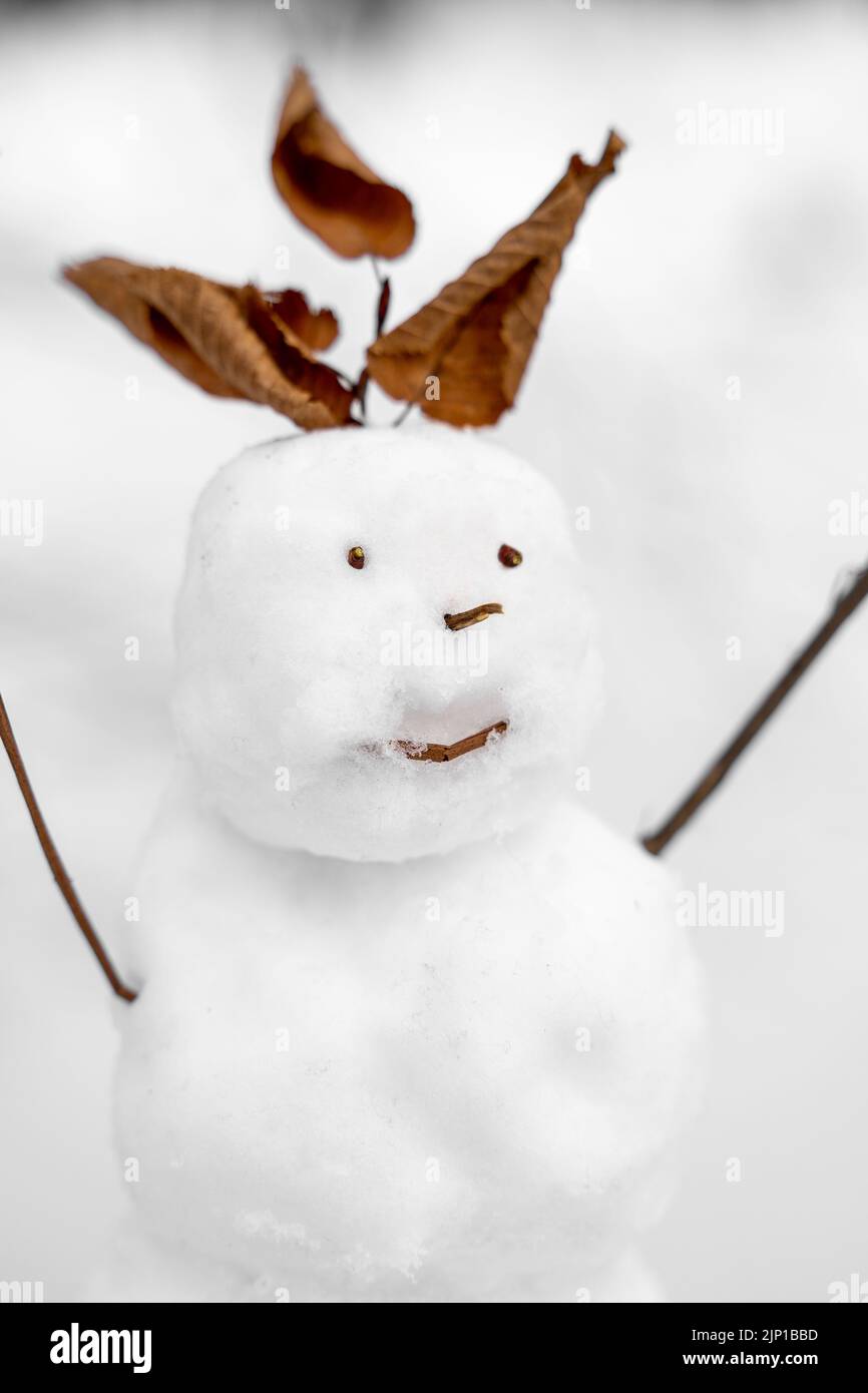 Cute small snowman with crown made of leaves, long hands of twigs alone ...