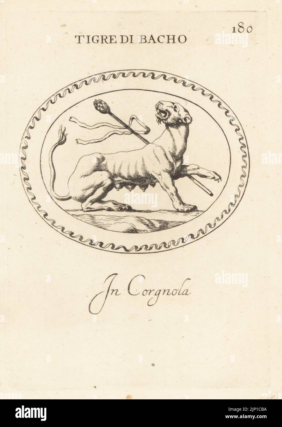 Tiger with ferula or rod, representing Bacchus, Roman god of wine. In ...