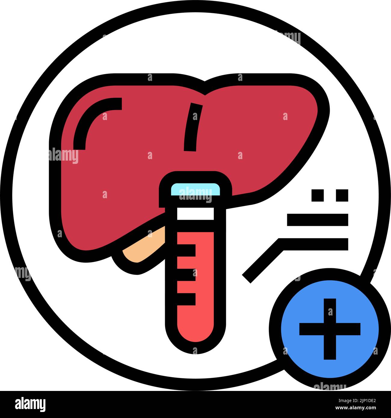 liver function tests health check color icon vector illustration Stock ... liver function tests health check color icon vector illustration Stock ...