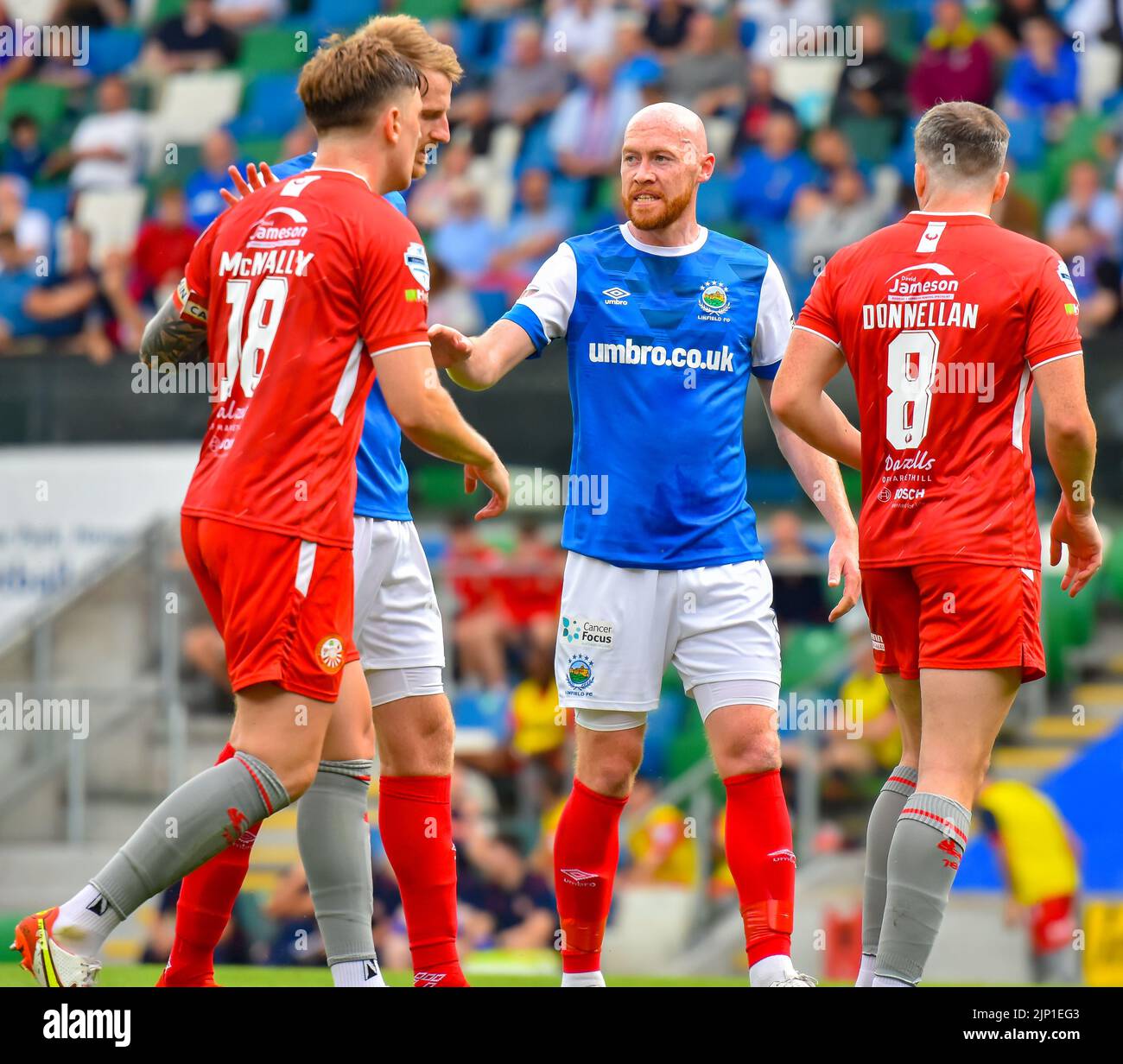 Chris Shields in action - Linfield Vs Portadown, Windsor Park Belfast ...
