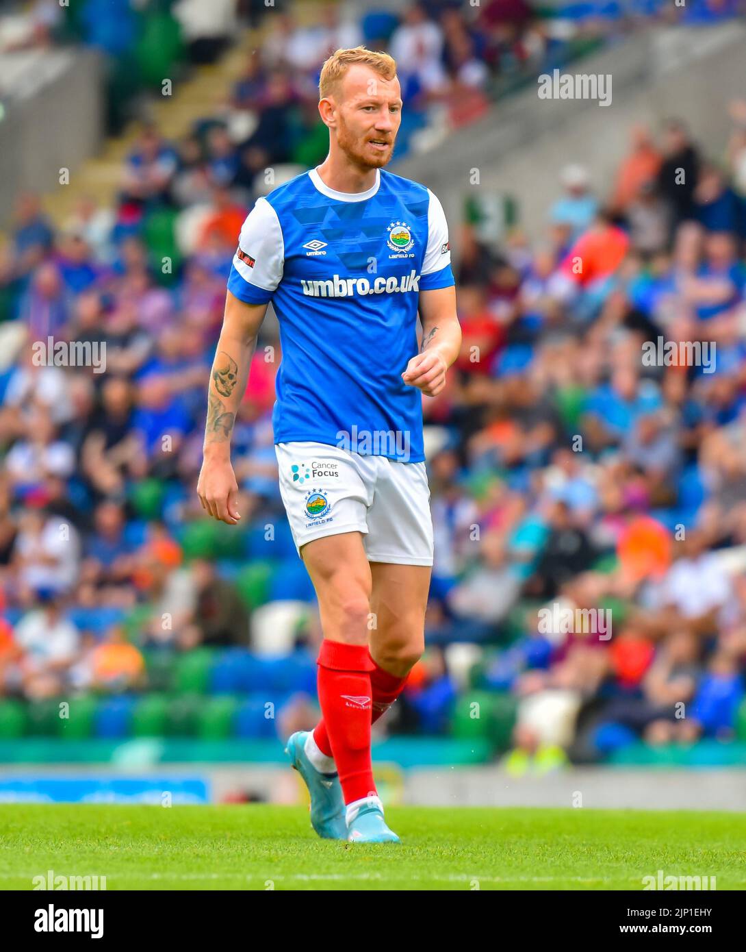 Michael newberry linfield hi-res stock photography and images - Alamy Michael newberry linfield hi-res stock photography and images - Alamy