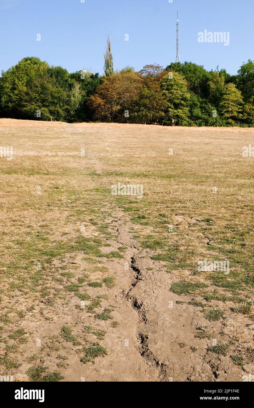 Alexandra Park, London, UK. 15th Aug 2022. UK Weather: drought warnings ...
