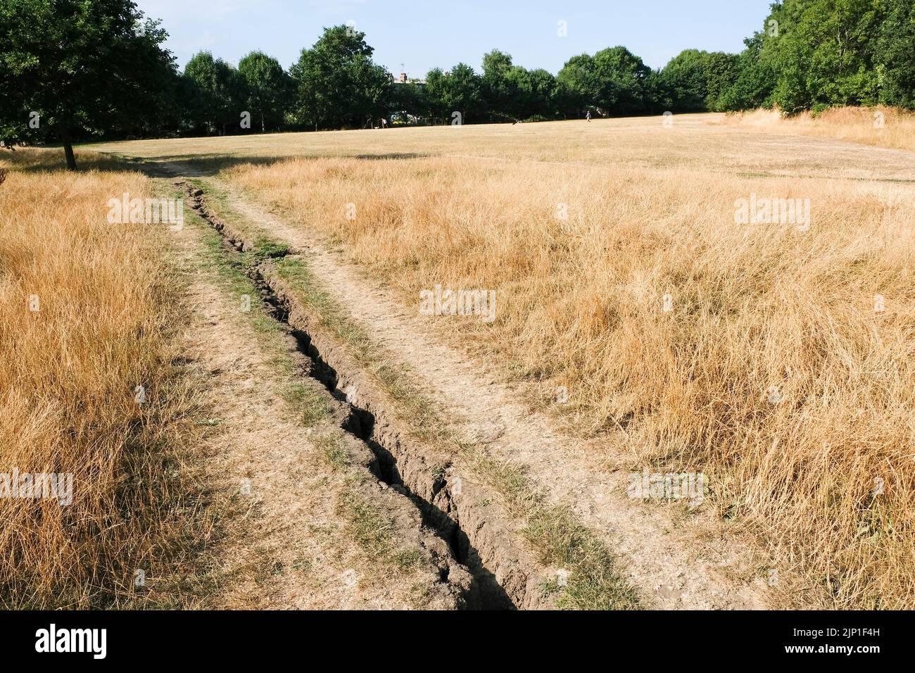 Alexandra park north london hi-res stock photography and images - Alamy