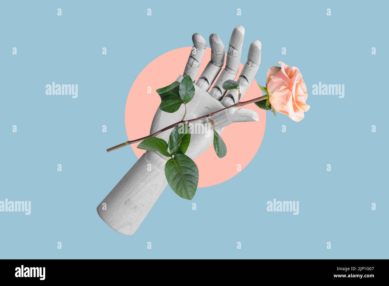 Collage photo of wooden hand hold beautiful little rose floristic ...