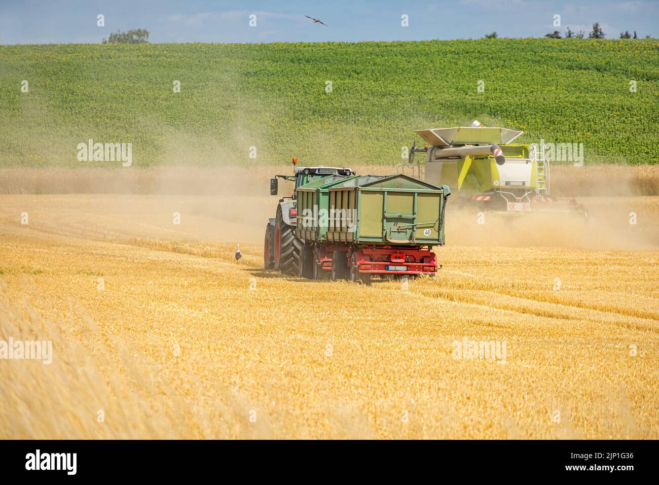combine, grain harvest, harvester, combines, grain harvests, harvesters ...