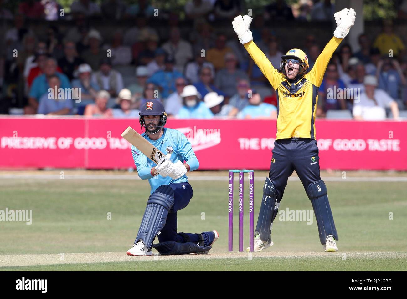 Shane cullen hi-res stock photography and images - Alamy