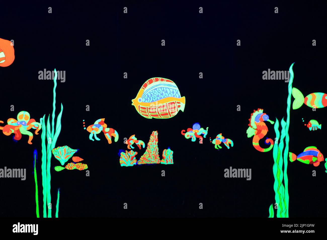 Exotic fish tank aquarium in Antalya in Turkey Stock Photo - Alamy