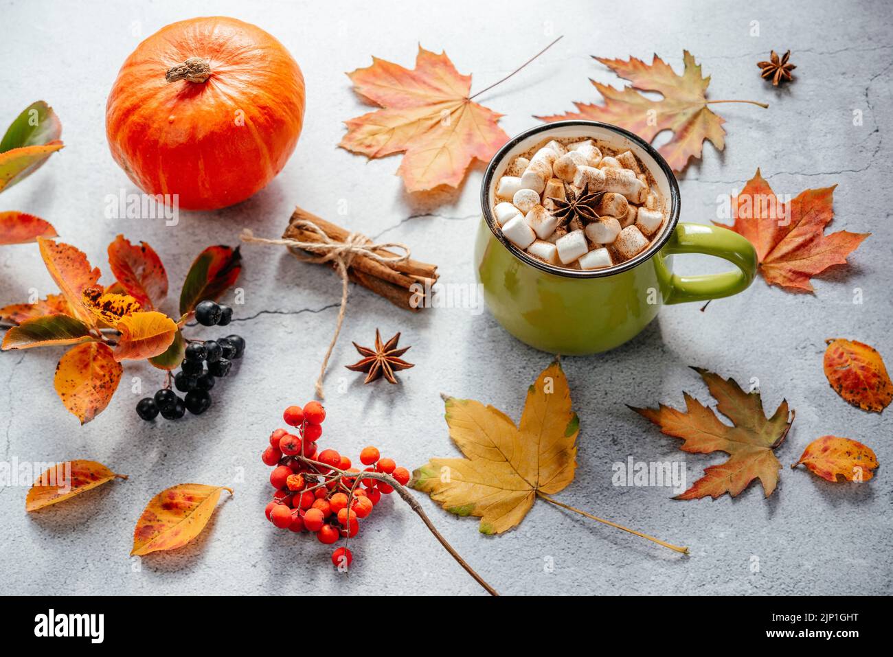 Cozy autumn hot drink with marshmallow, rowan berries, pumpkin and ...
