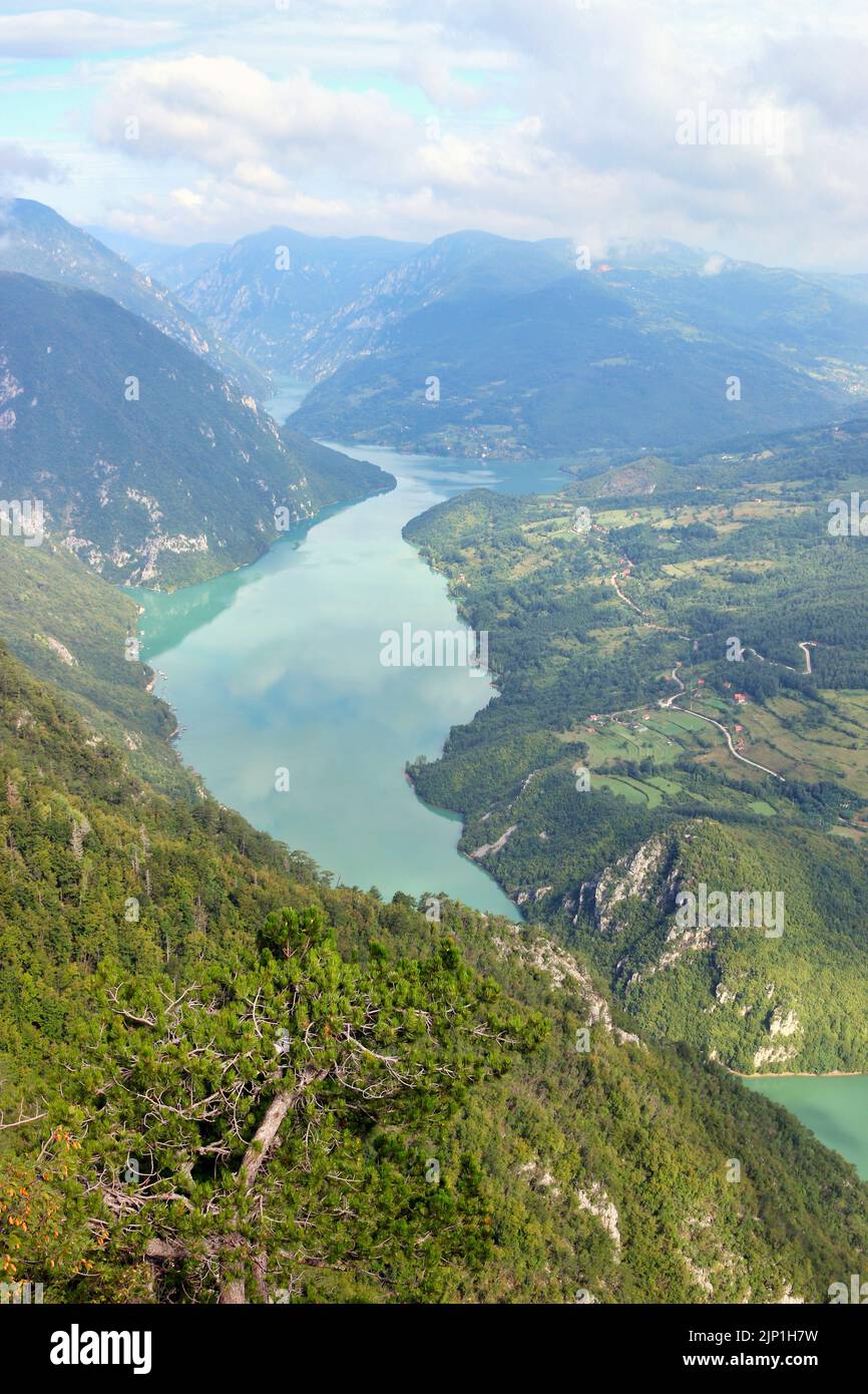 viewpoint Banjska stena in Tara mountain landscape Serbia Stock Photo ...