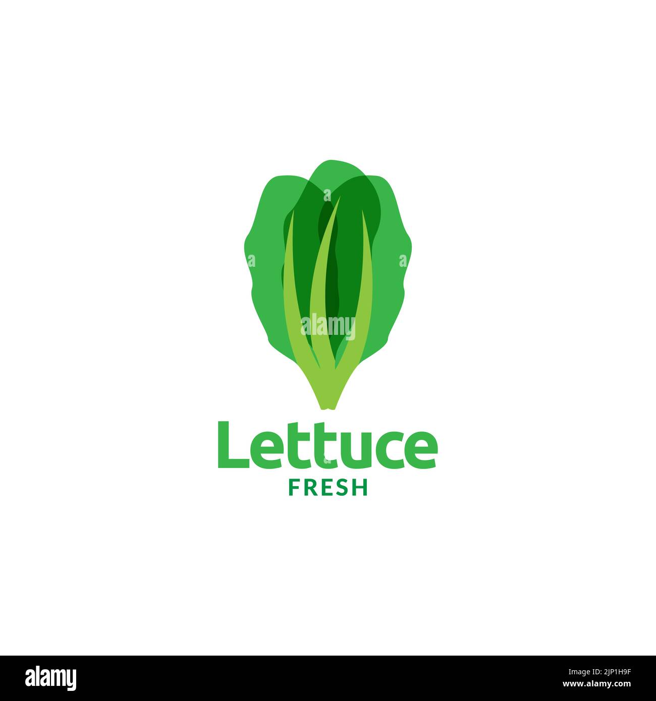 Modern lettuce Cut Out Stock Images & Pictures - Alamy