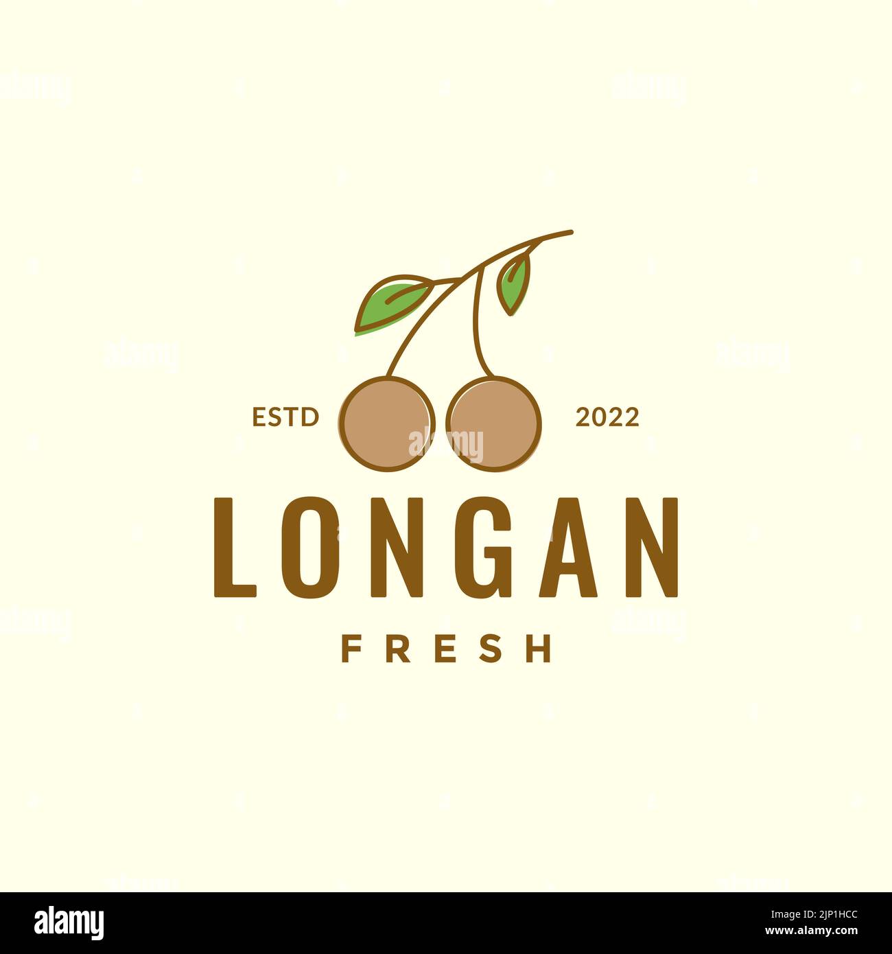 Fresh longan fruit Stock Vector Images - Alamy