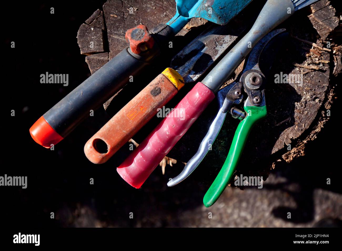 Profession gardener hi-res stock photography and images - Alamy