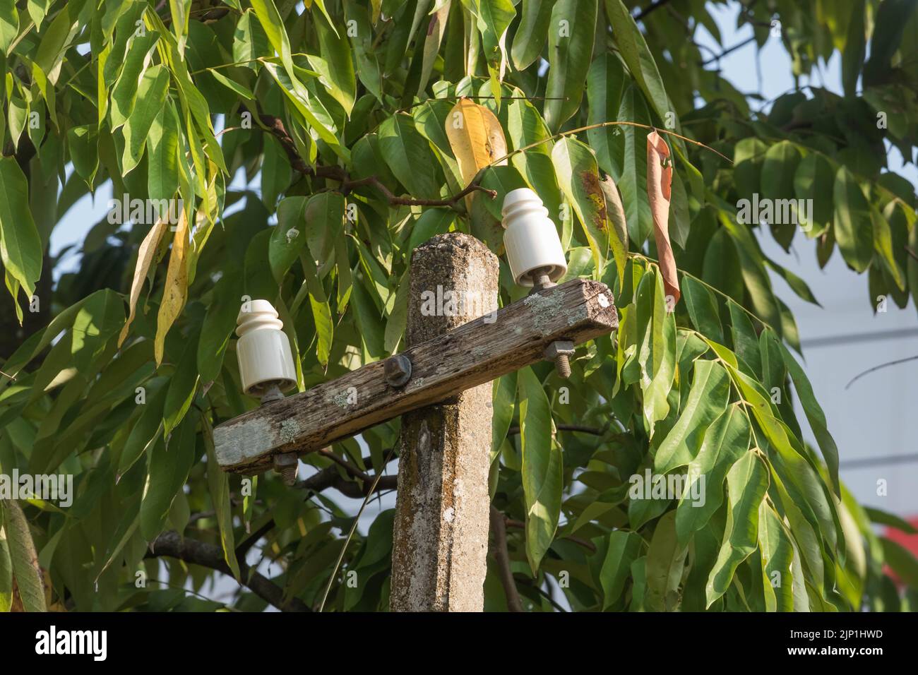 An Old Type Telephone Post Stock Photo - Alamy