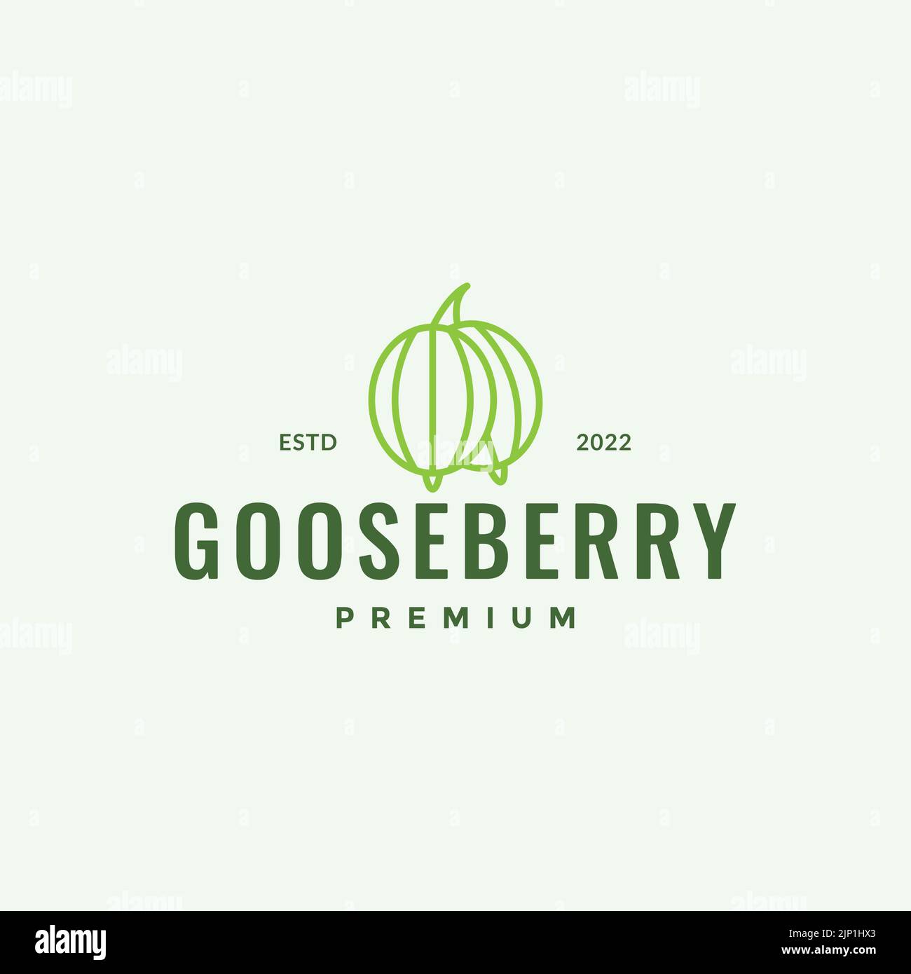 Gooseberry organic green food garden Stock Vector Images - Alamy