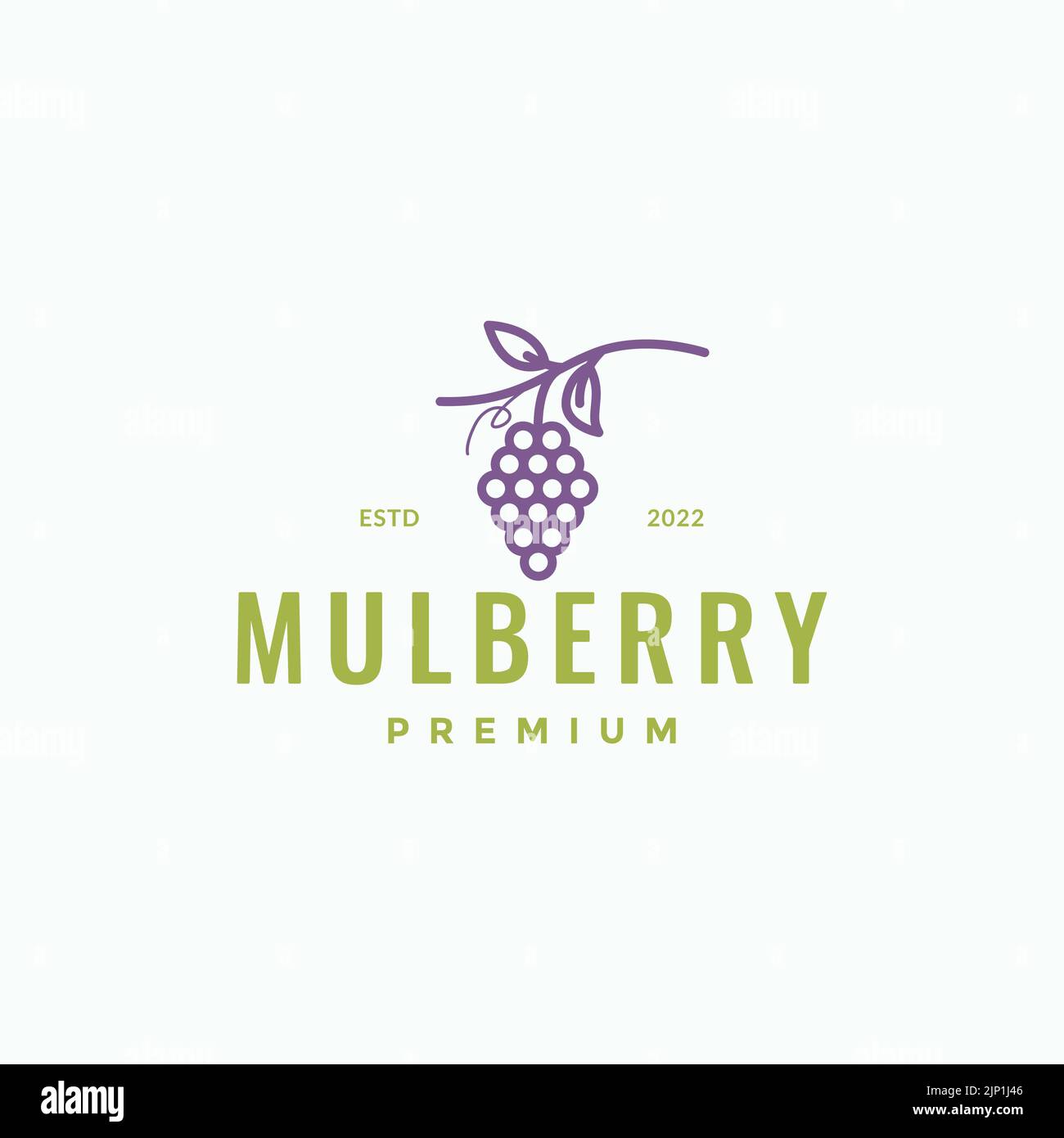 fresh vintage fruit mulberry logo design Stock Vector Image & Art - Alamy
