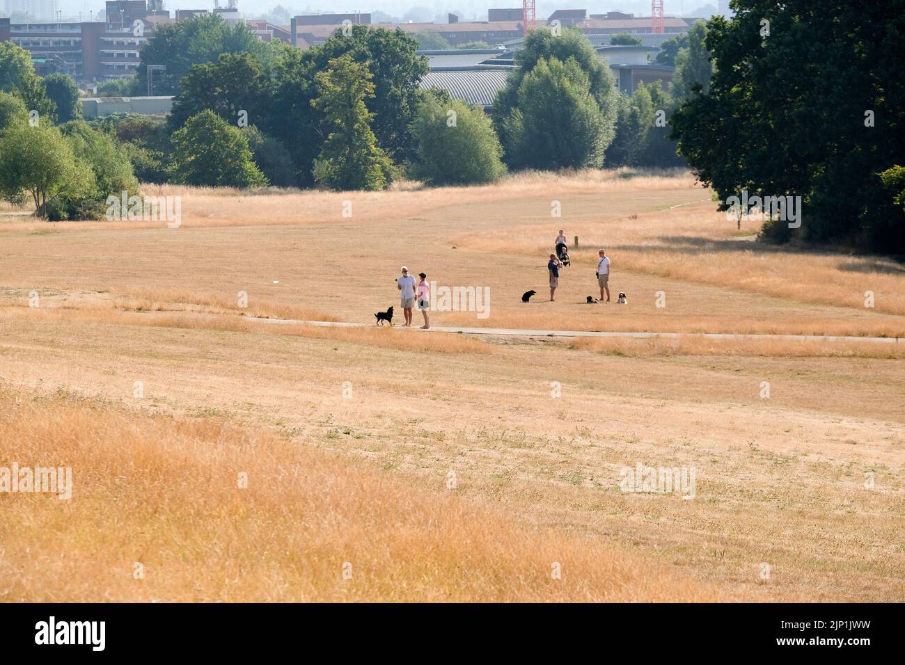 Alexandra Park, London, UK. 15th Aug 2022. UK Weather: drought warnings ...