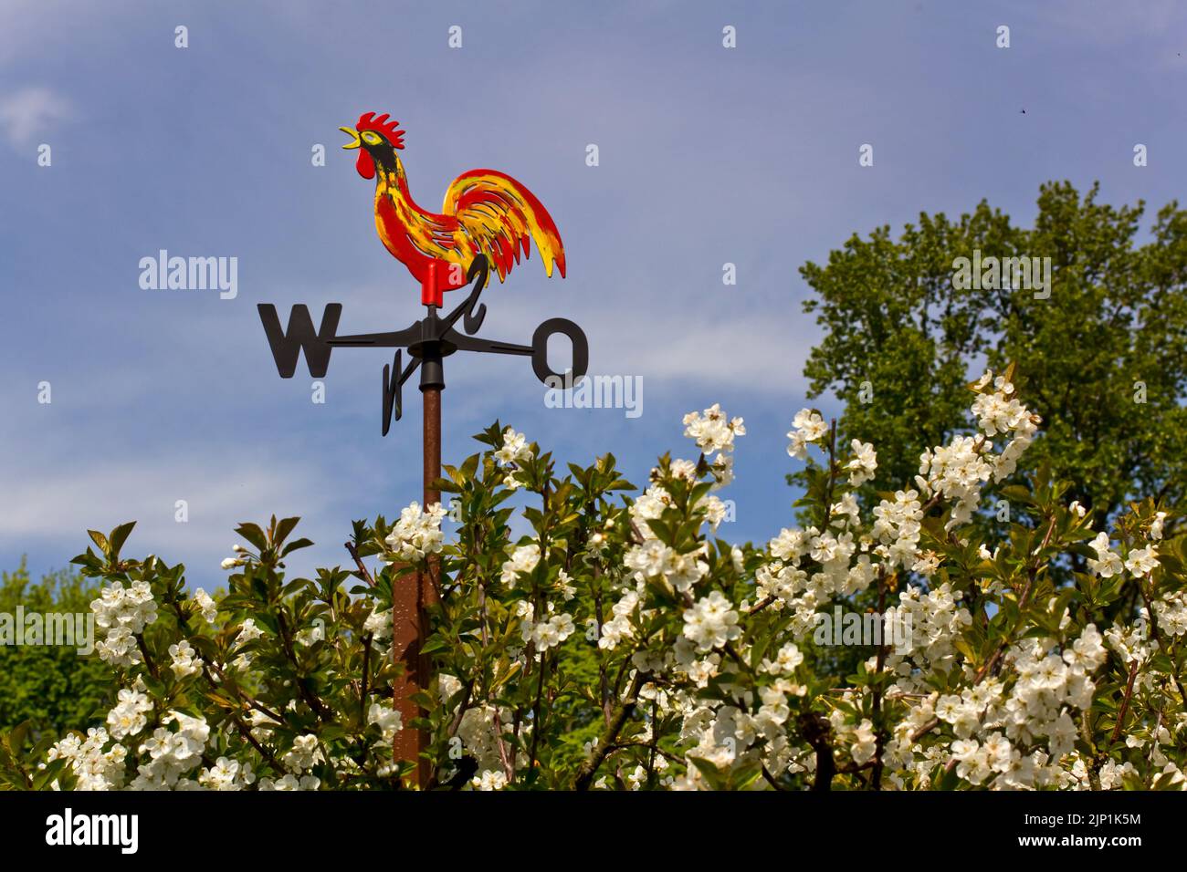 The rooster of winds hi-res stock photography and images - Alamy