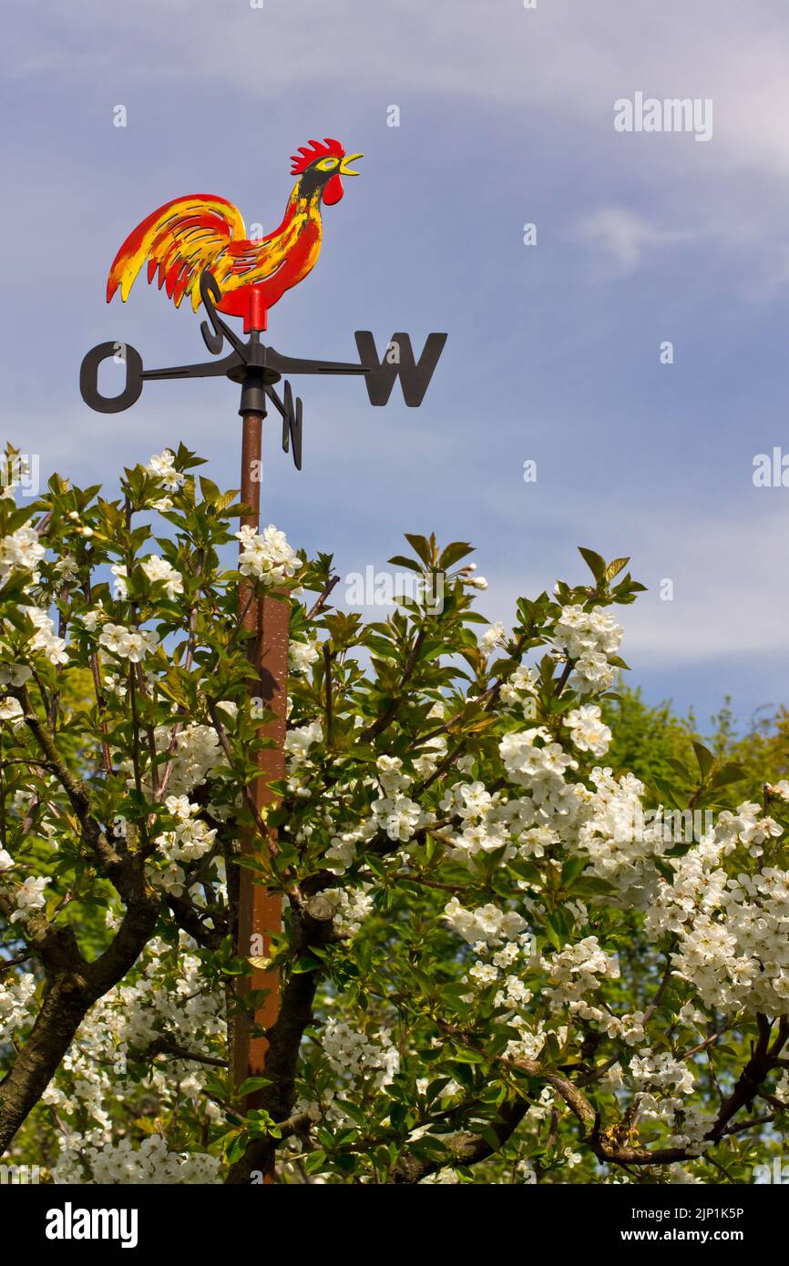Wind direction sensors hi-res stock photography and images - Alamy