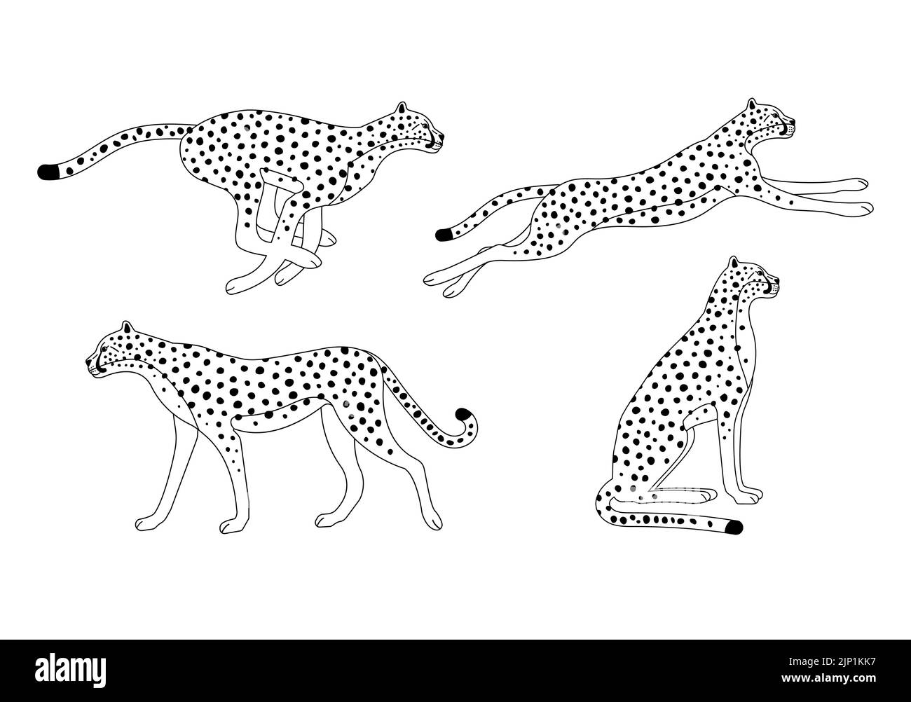 Vector set of outline cheetah isolated on white background Stock Vector ...