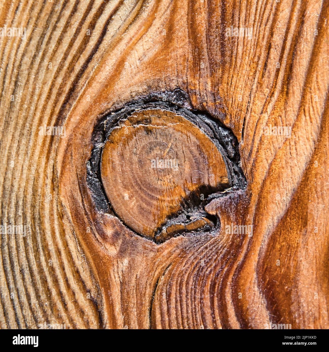 Abstract wooden background with a knot. Wooden texture with bough Stock ...