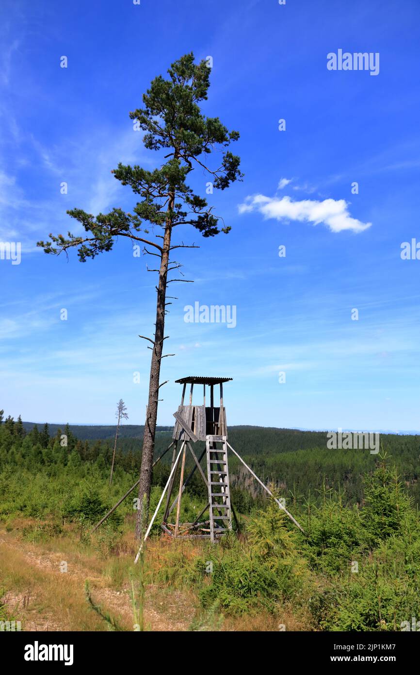 a Hunting tower in the forest. Wooden Hunter Hide High watch post tower ...