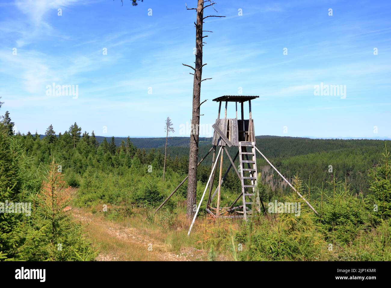 a Hunting tower in the forest. Wooden Hunter Hide High watch post tower ...