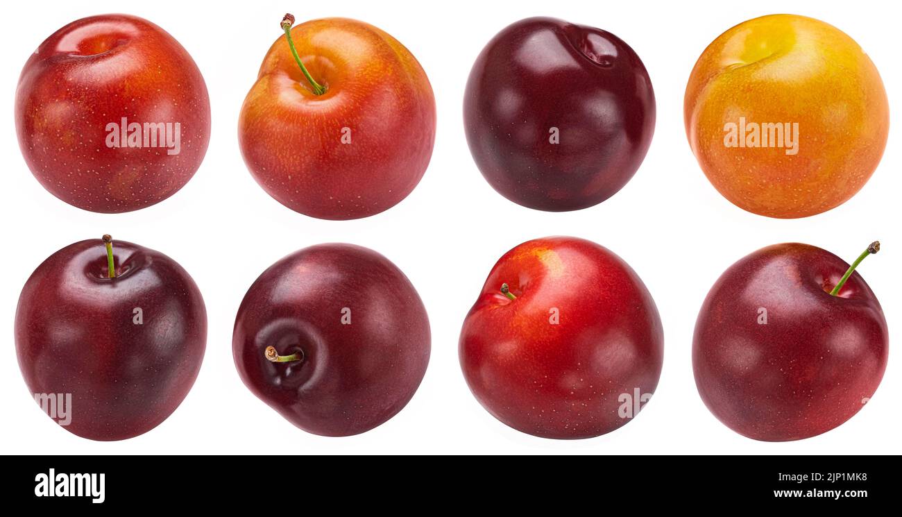 Plums isolated on white background with clipping path Stock Photo - Alamy