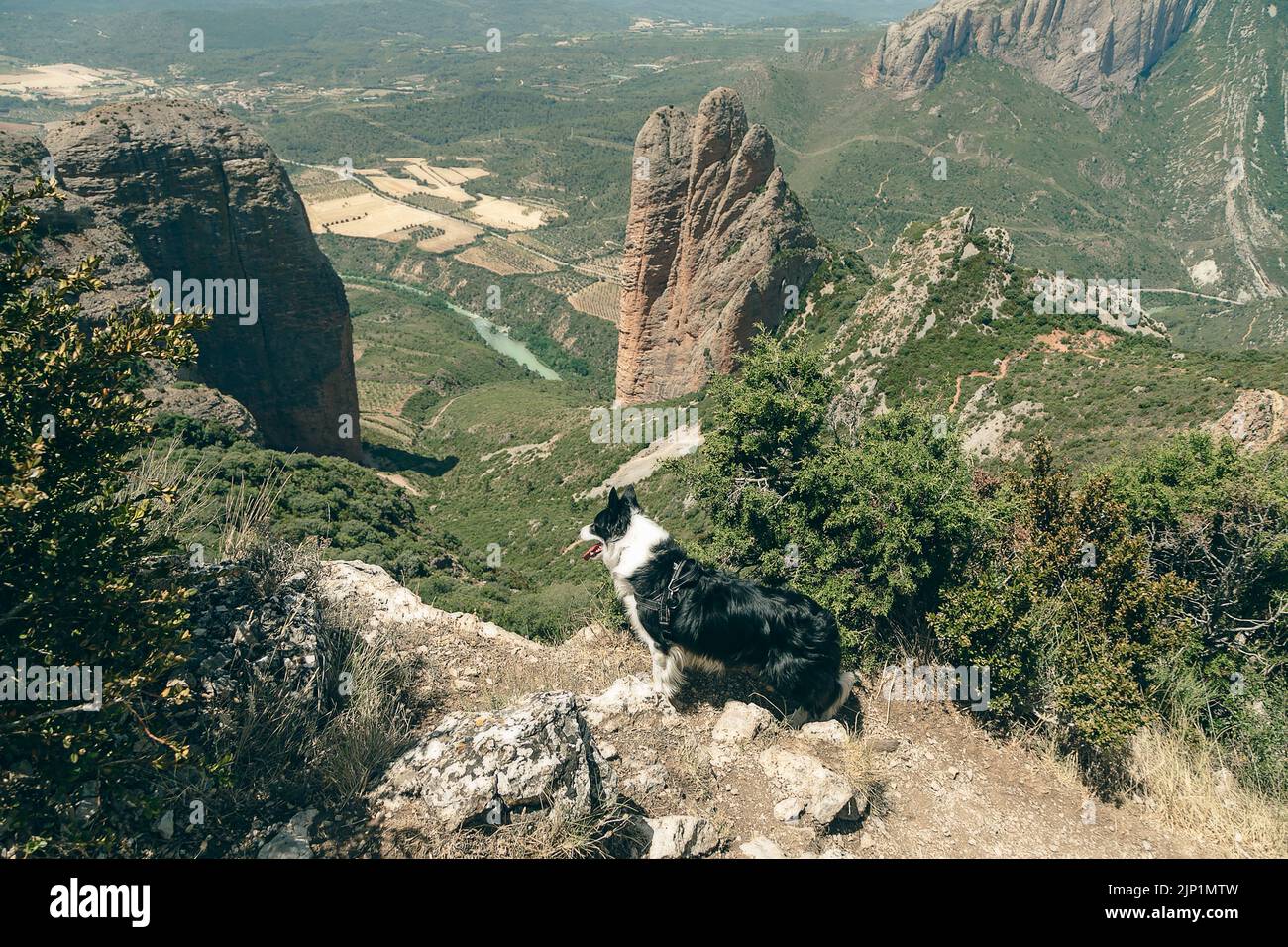 Geological formation of the mallos de Riglos in Huesca, Aragon. Place ...