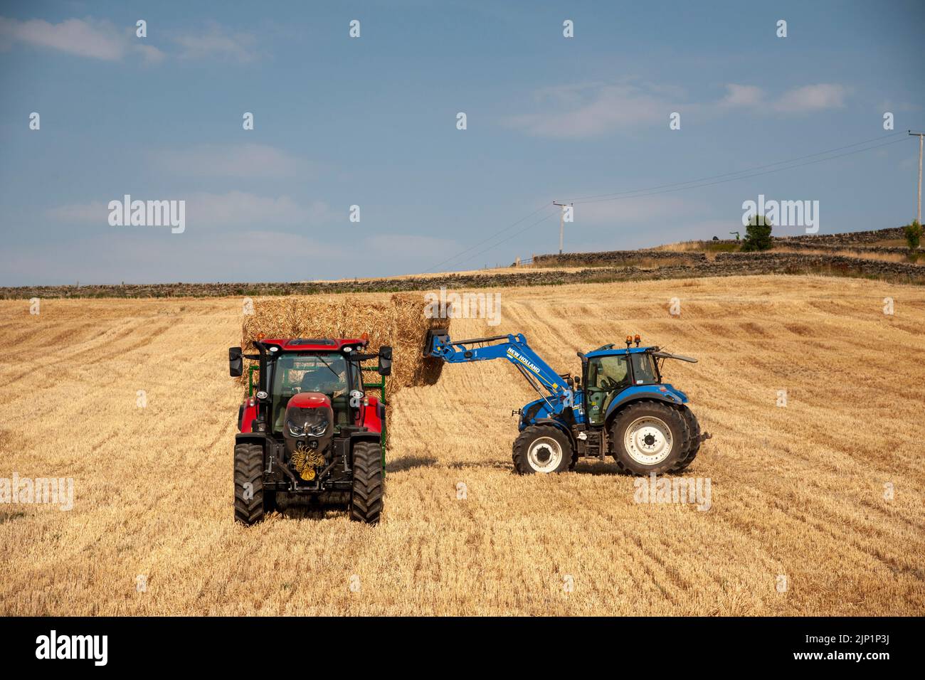 Tractor loading a trailer with hey in a field on a farm near Langestt ...
