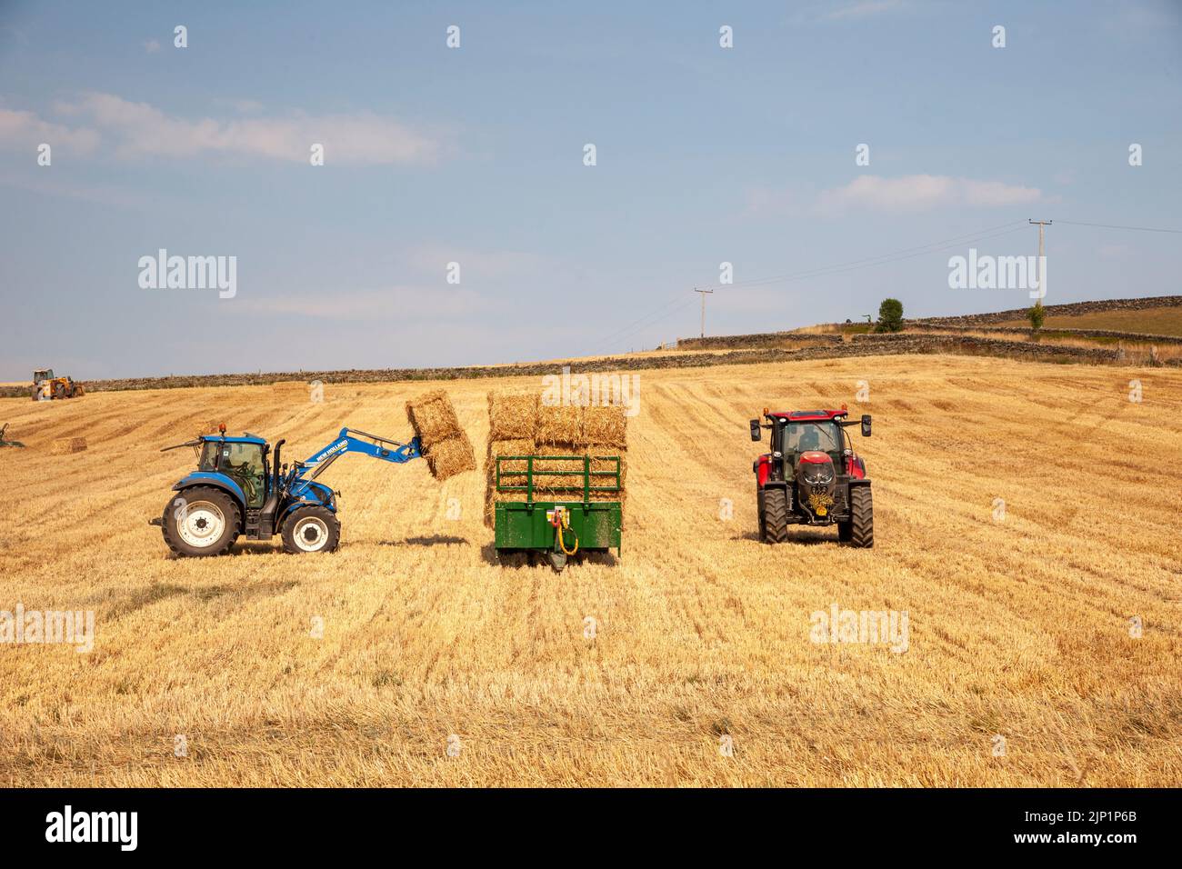 Tractors loading a trailer with hey in a field on a farm near Langestt ...