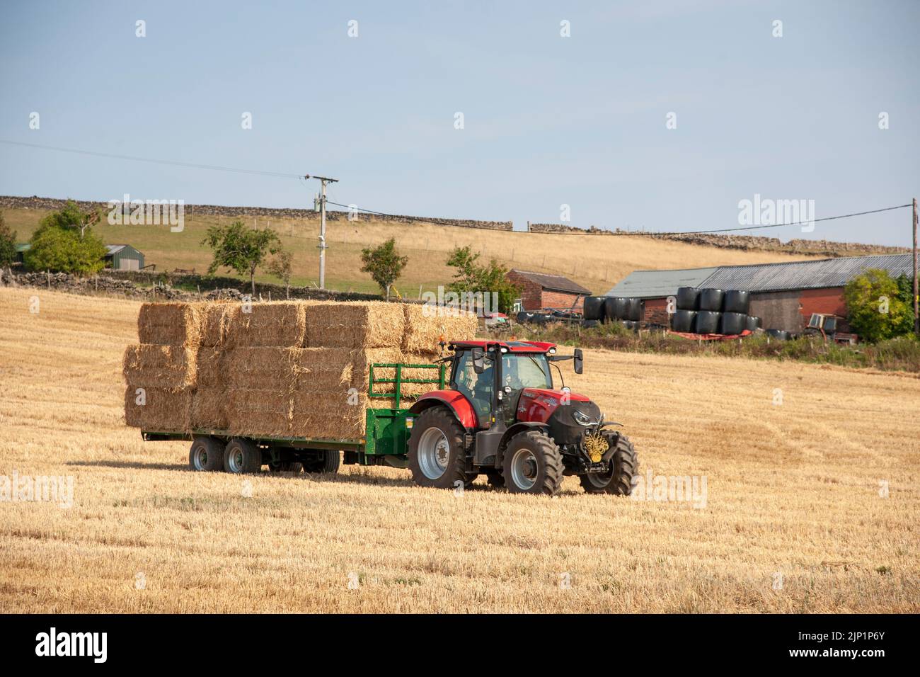 Case tractor pulling a trailer loaded with hey on a farm near Langestt ...