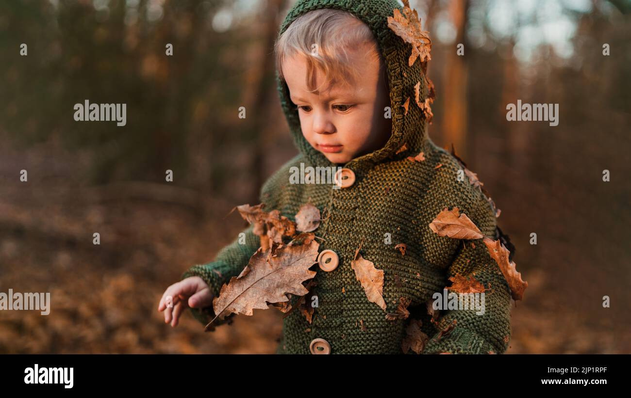 Little curious boy on walk in nature playing with dried leaves Stock ...